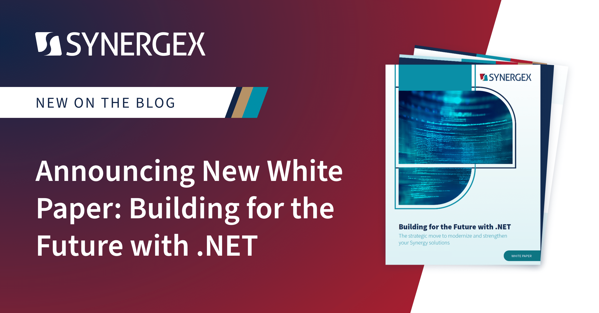 Announcing Our New White Paper: Building for the Future with .NET - Synergex